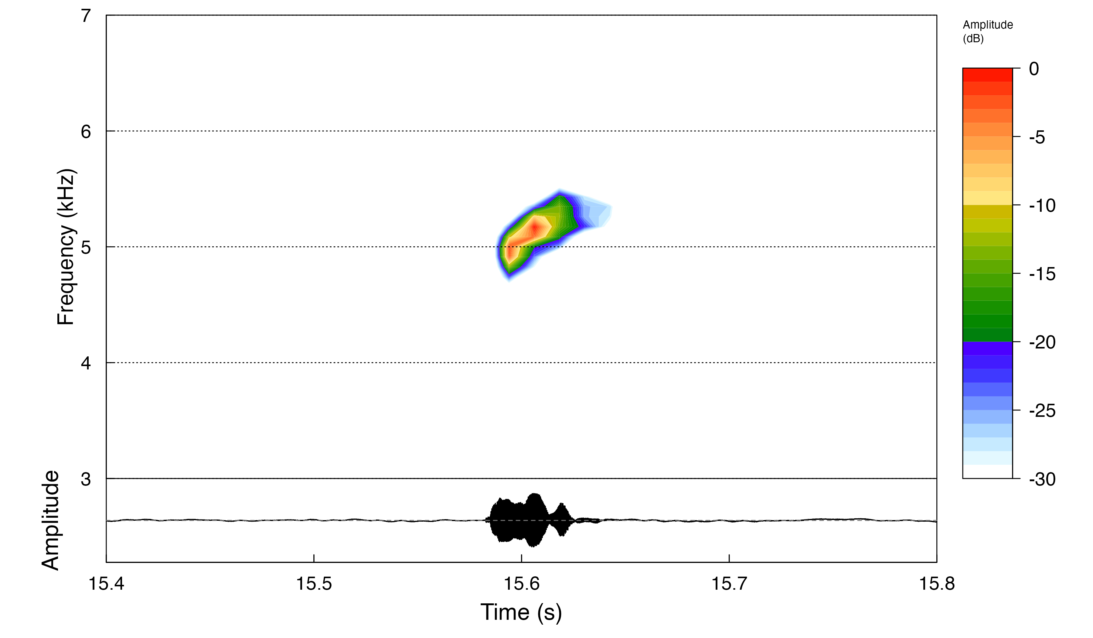 Allobates niputidea | Anfibios colombianos
