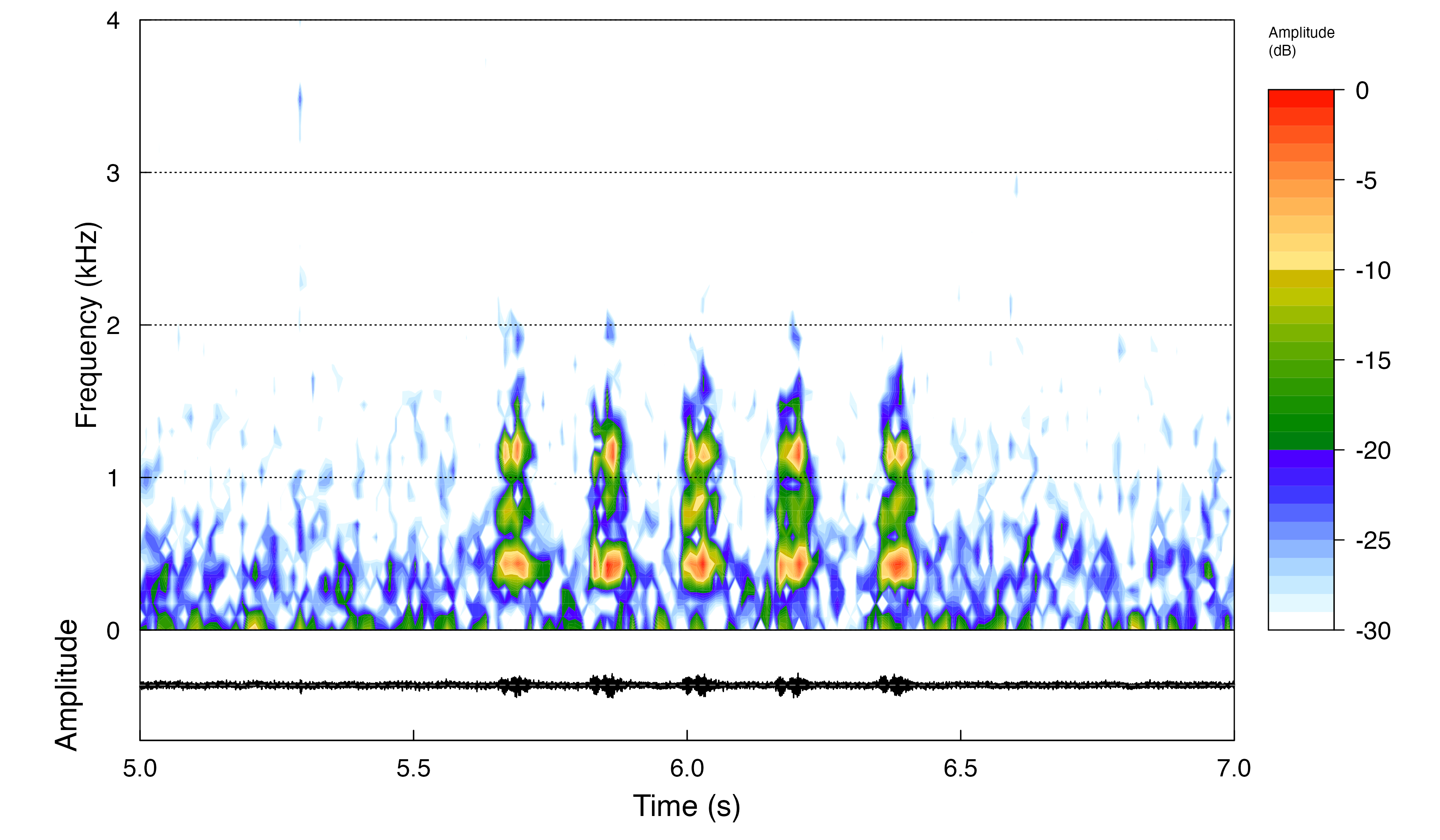 Boana rosenbergi | Anfibios colombianos