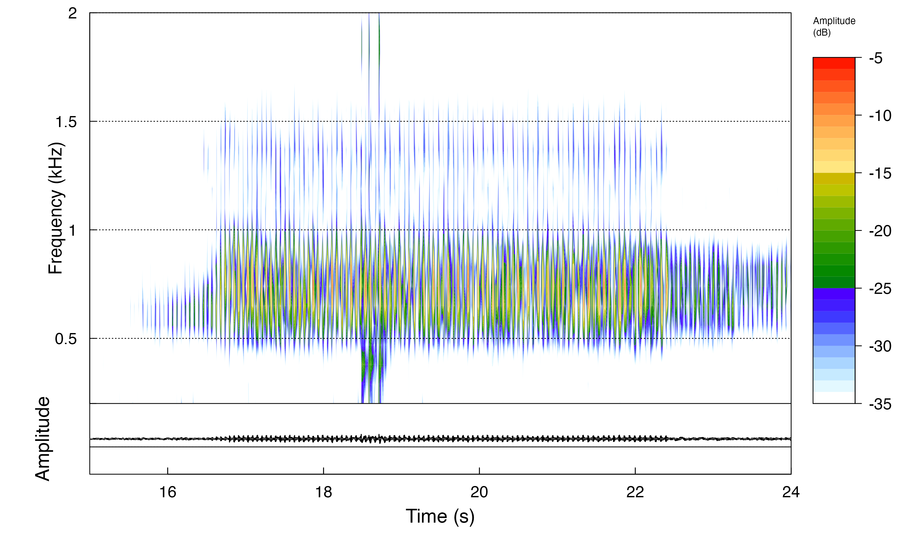 Rhinella horribilis | Anfibios colombianos